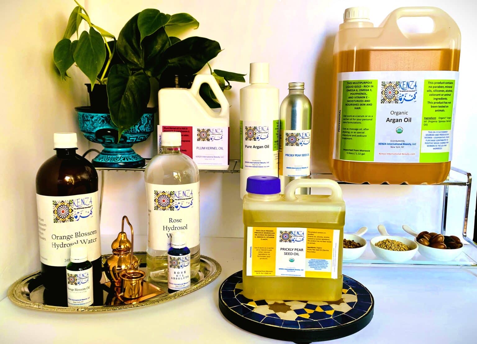 Clean Beauty Ingredients | Organic Oils & Botanicals Supplier